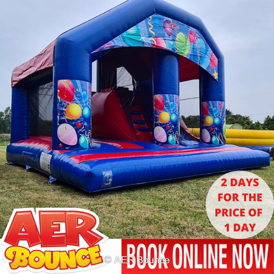 Bounce And Slide Bouncy Castle Hire Laois Offaly Carlow And More